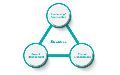 Successful change management with Prosci® | proMX